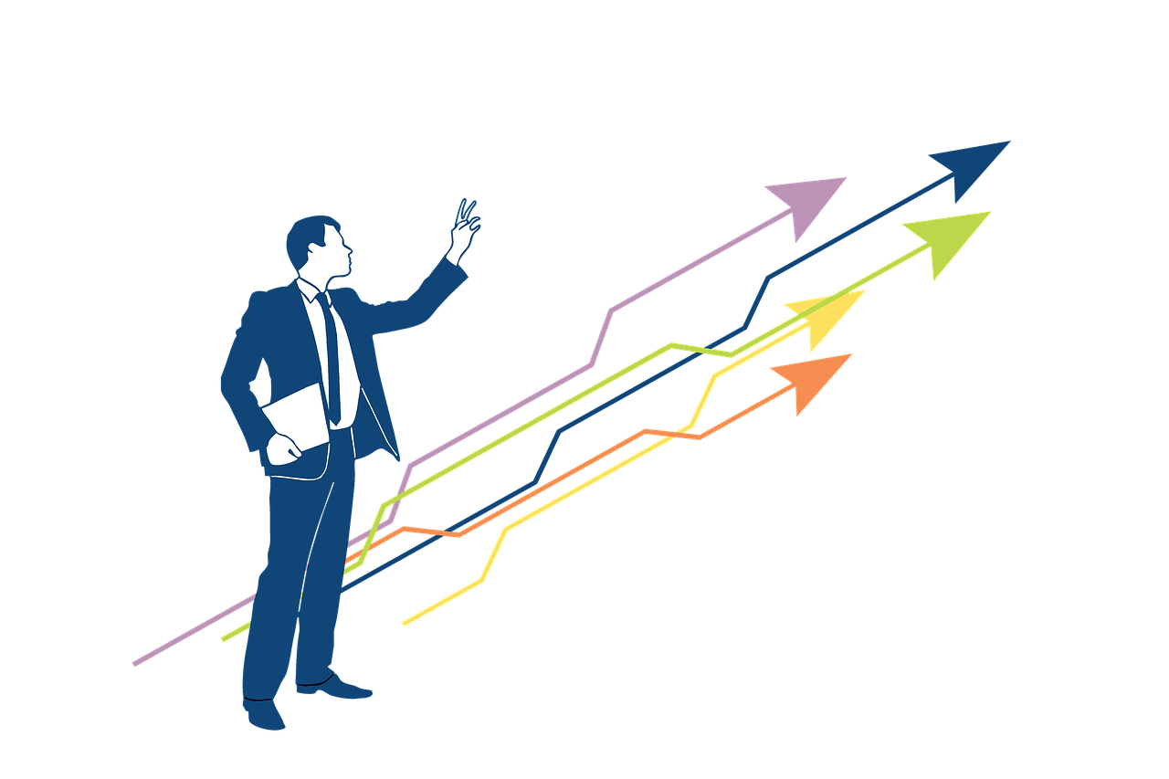 PROCESOS Y PROCEDIMIENTOS